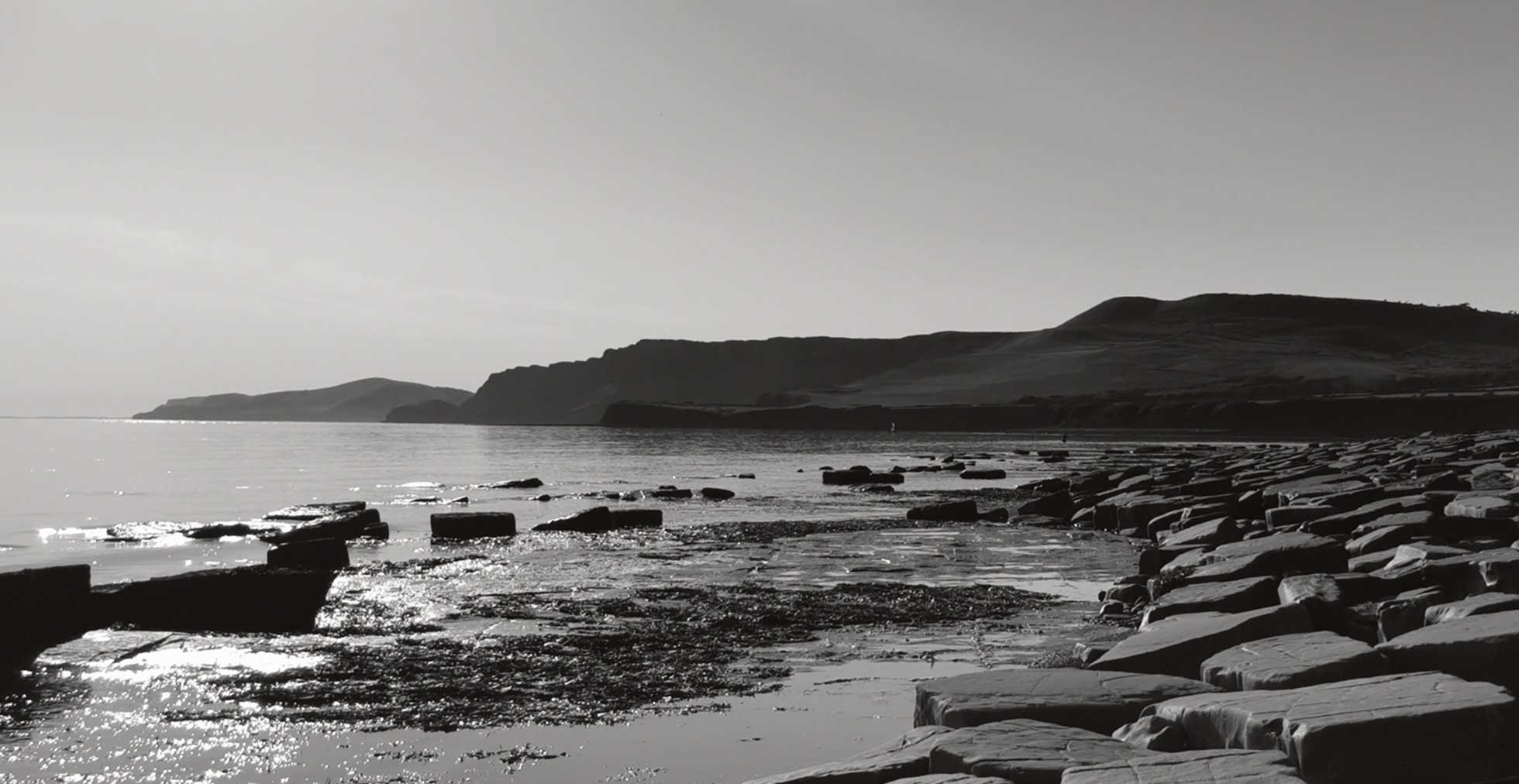 Latest news from Leaping Fish - Leaping Fish